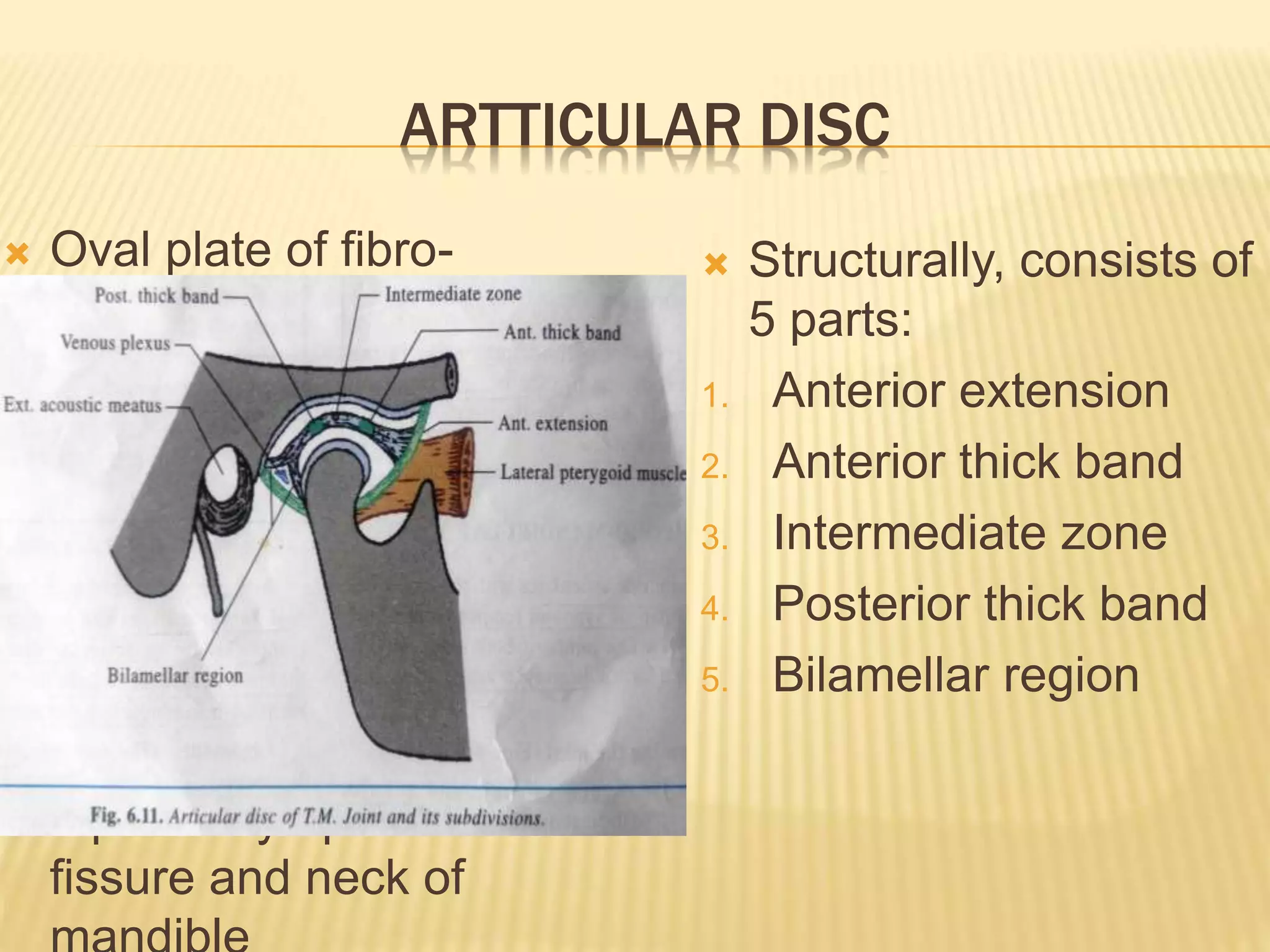 Tm joint, mandibular nerve | PPTX