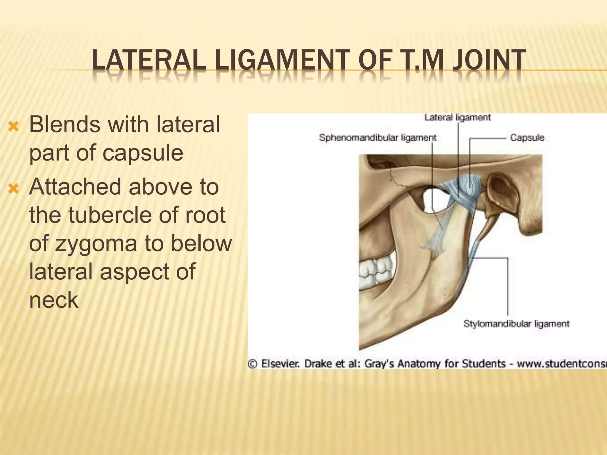 Tm joint, mandibular nerve | PPTX