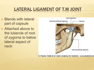 Tm joint, mandibular nerve | PPTX