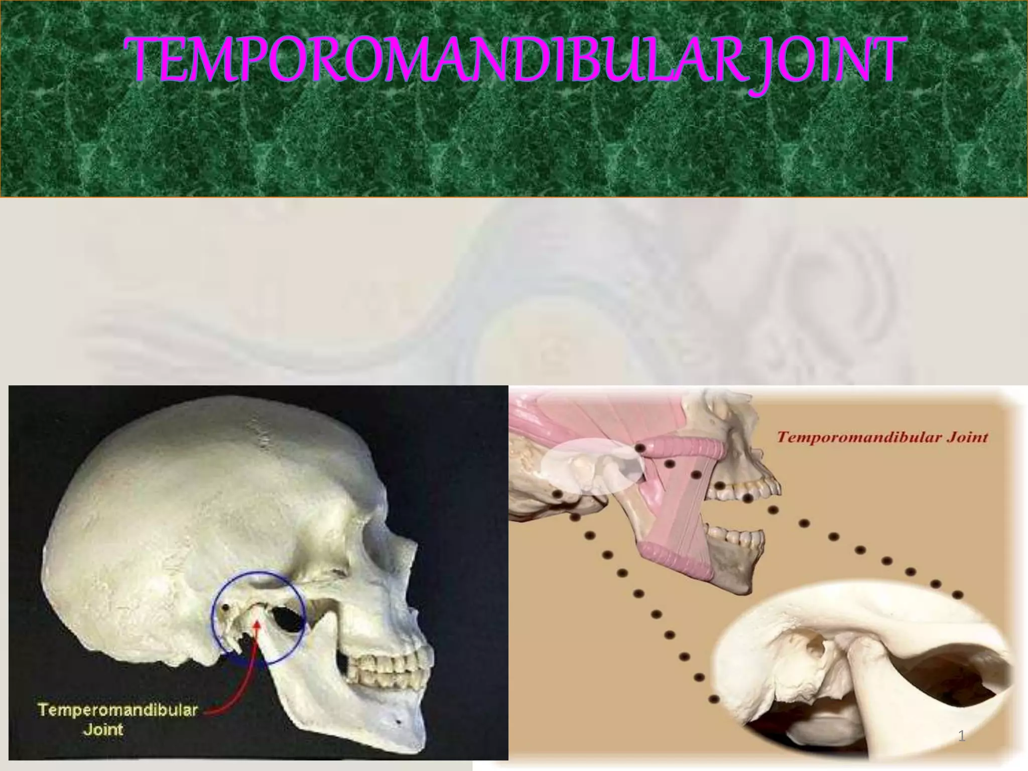 Tmj(part 1) evaluation and development | PPTX