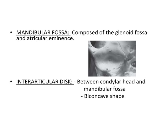 Tmj pathology | PPTX | Bone and Joint Conditions | Diseases and Conditions