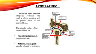 the most impotent function of tempromendibular joint | PPT