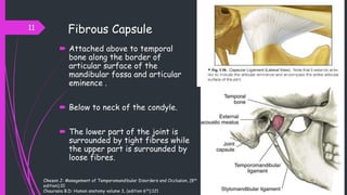 OCCLUSION AND TMDs | PPTX