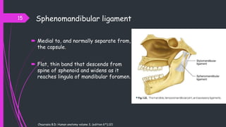 OCCLUSION AND TMDs | PPTX
