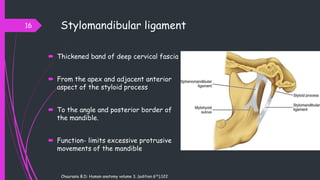 OCCLUSION AND TMDs | PPTX