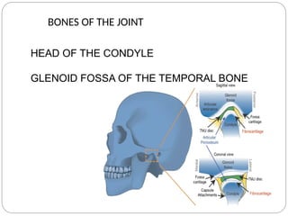 temporomandibular joint. Structure and functions.pptx