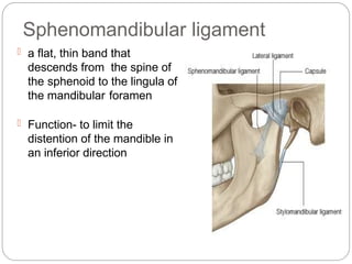 temporomandibular joint. Structure and functions.pptx