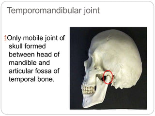 temporomandibular joint. Structure and functions.pptx
