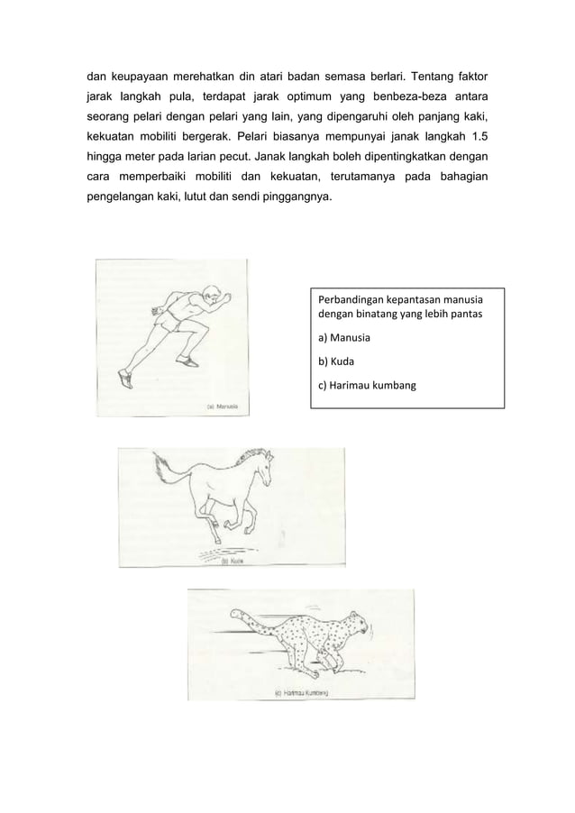 Lari Pecut 100 meter | DOCX