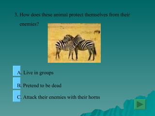 Tmk power point | PPT