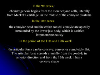 TMJ and it’s Prosthodontic Implication | PPT