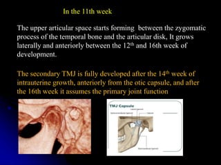TMJ and it’s Prosthodontic Implication | PPT