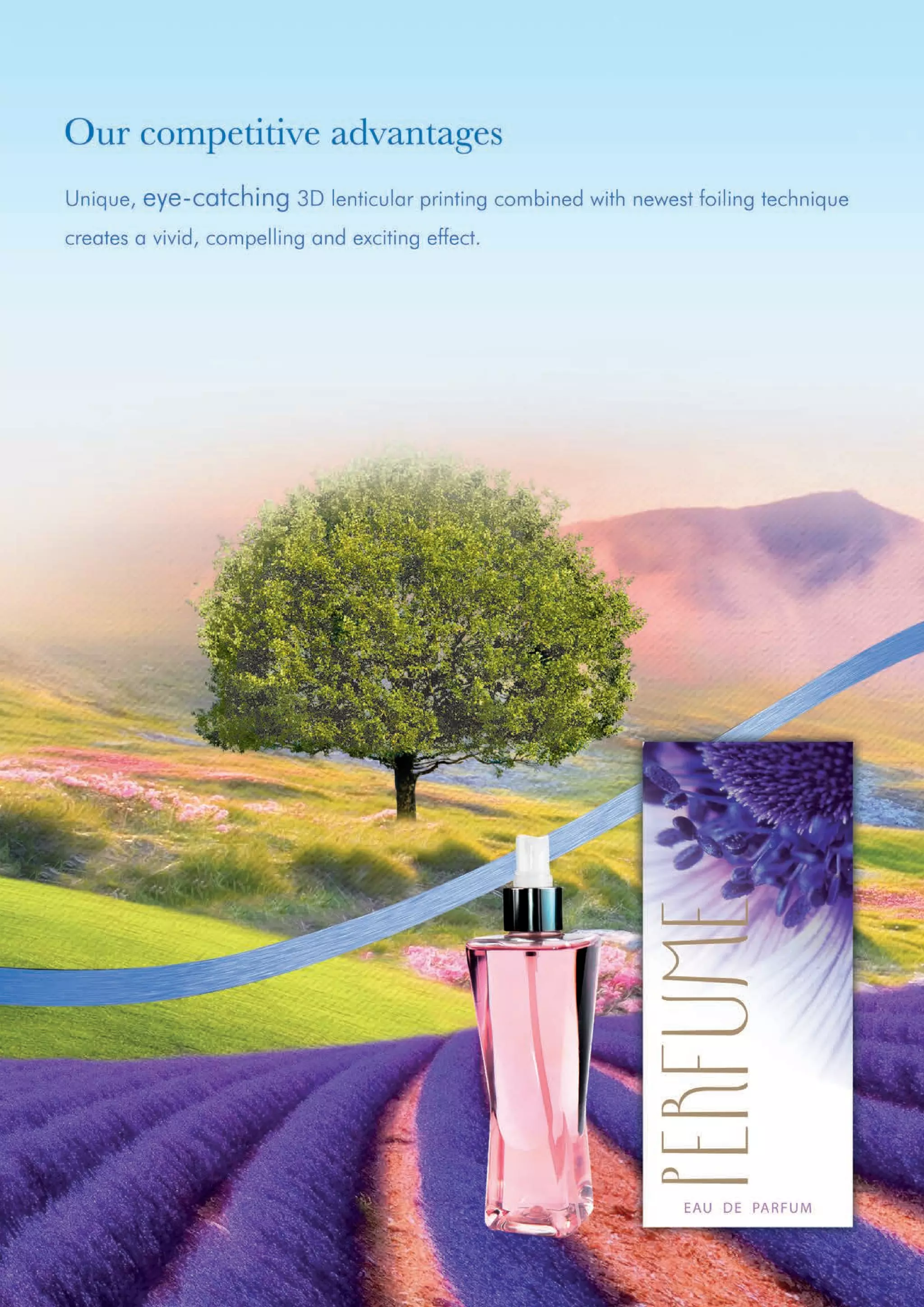 TMP Packaging Brochure | PDF