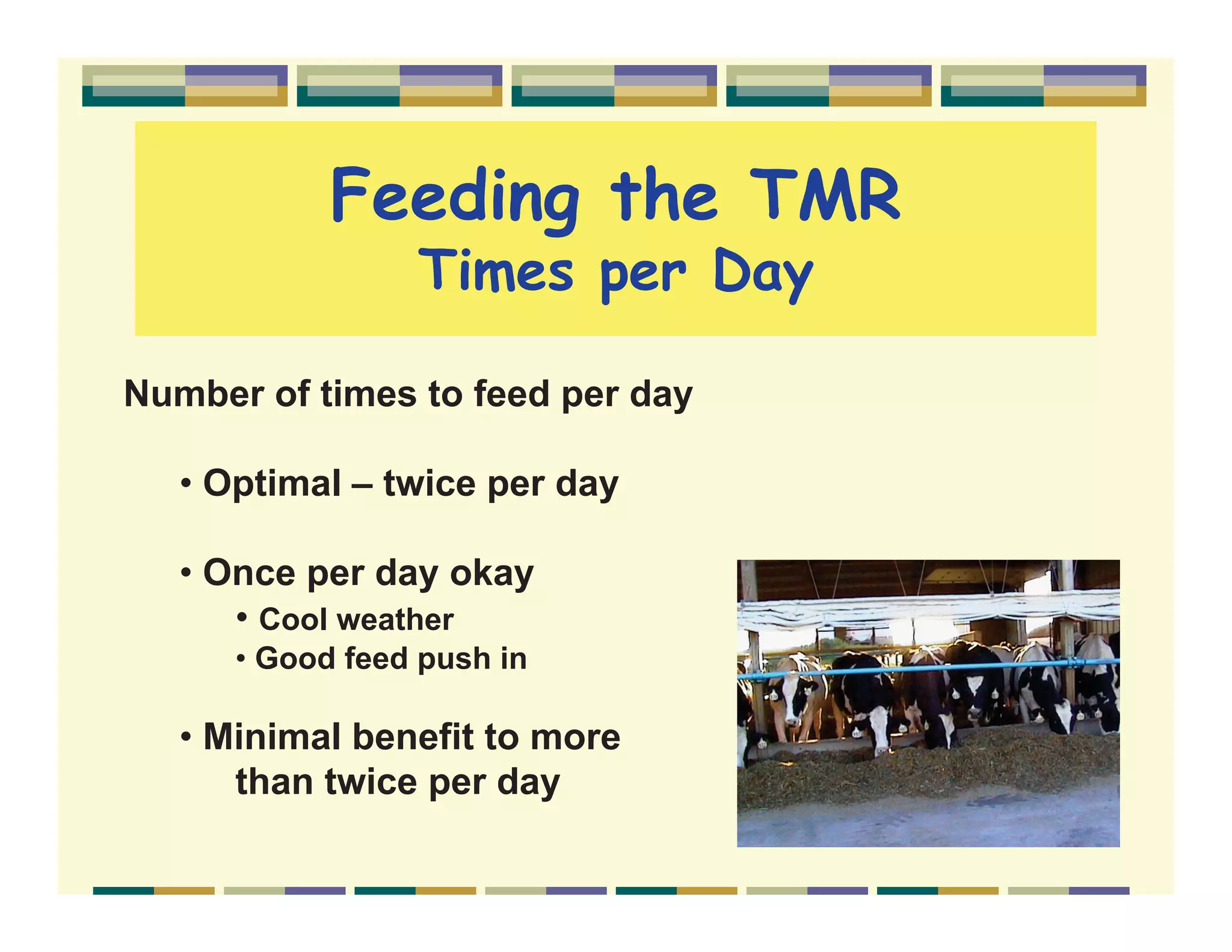 Tmr feeding-presentation | PDF