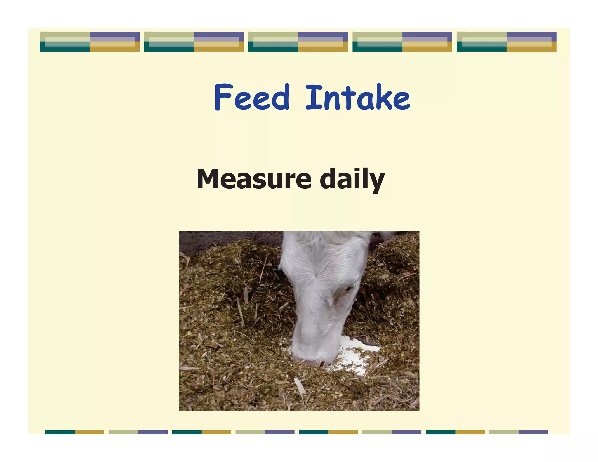 Tmr feeding-presentation | PDF