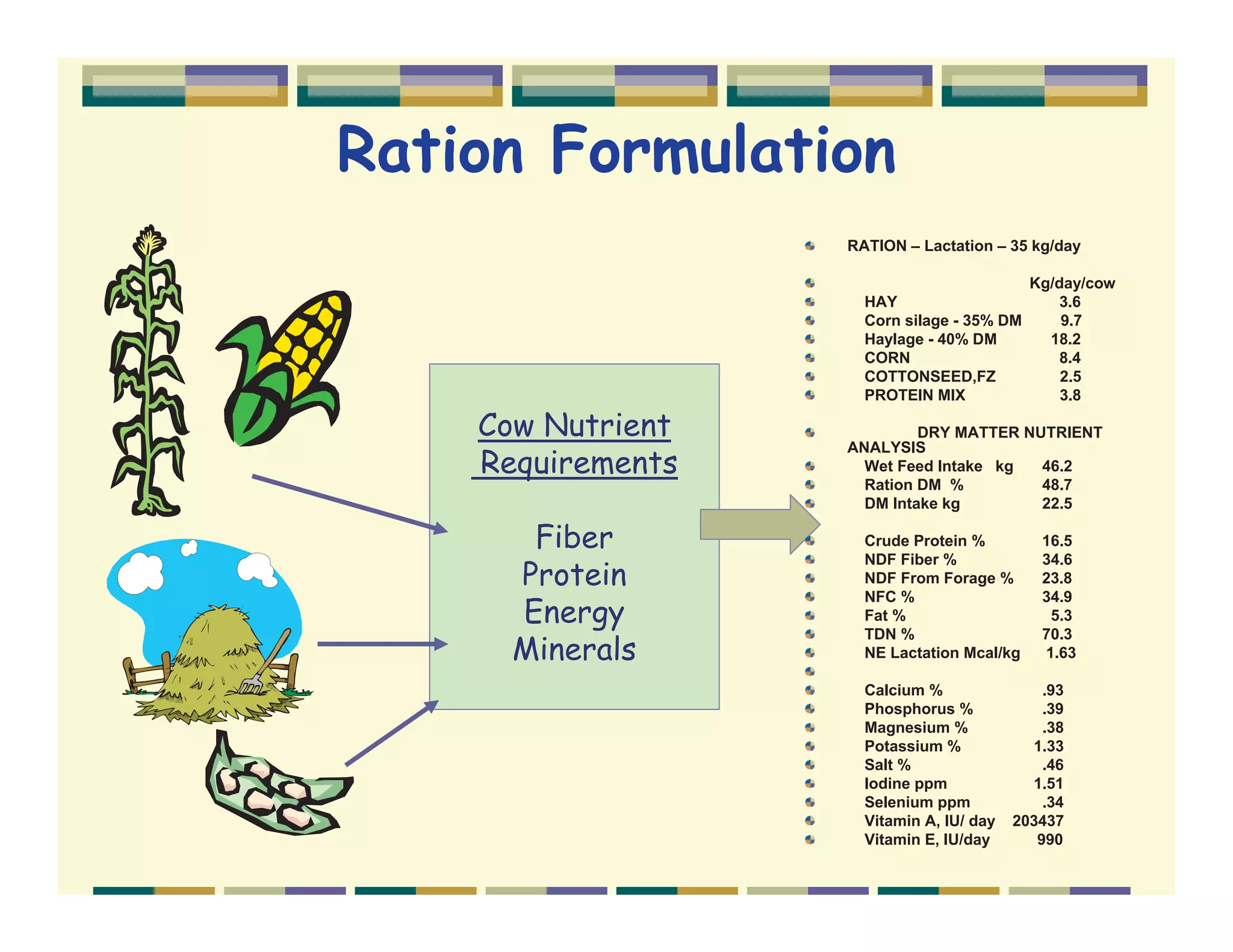 Tmr feeding-presentation | PDF