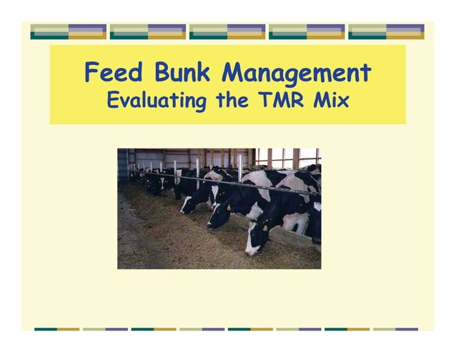 Tmr feeding-presentation | PDF | Agriculture | Industries