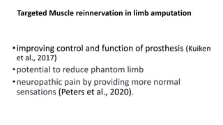 TMR in amputations | PPTX