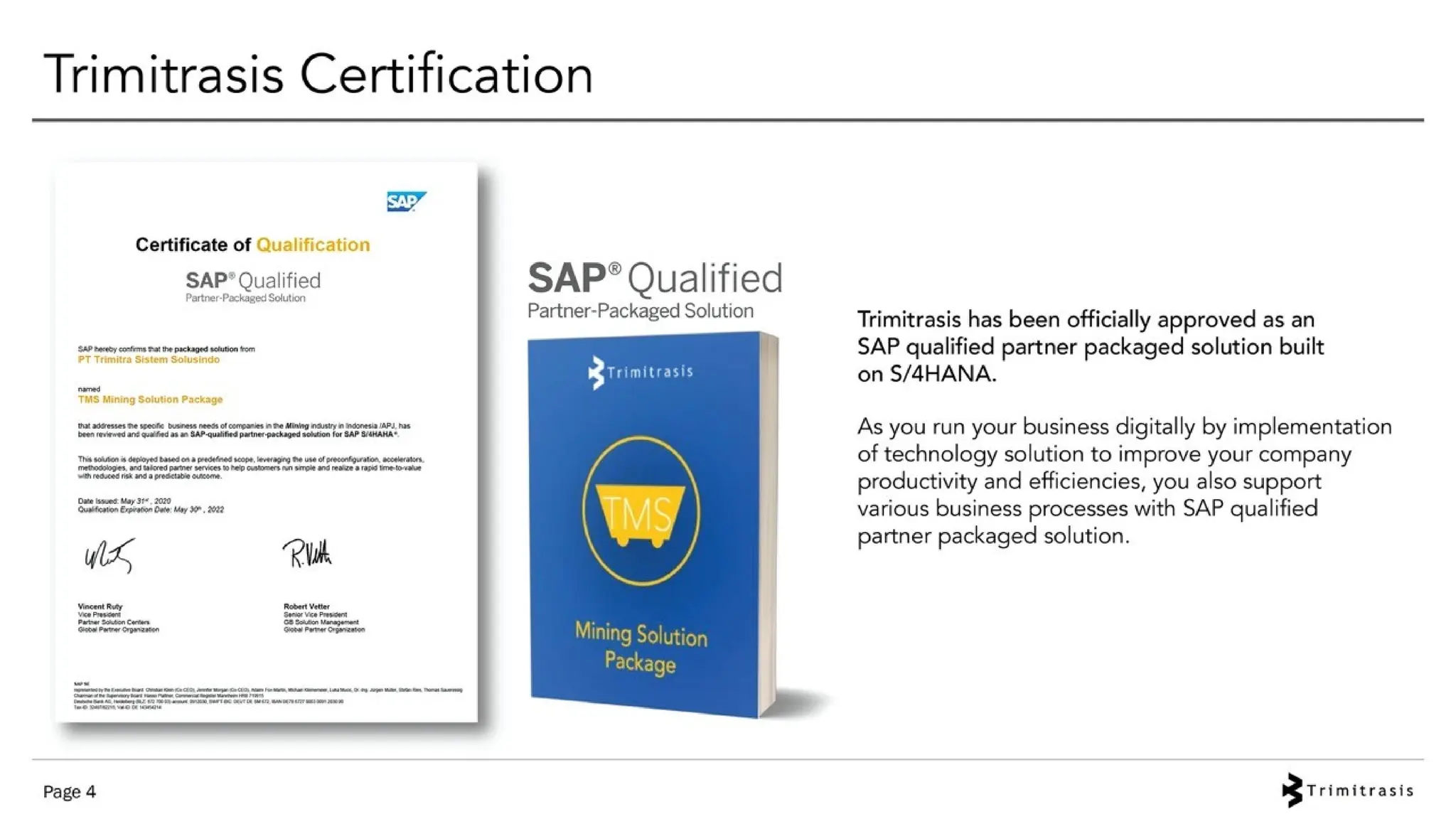 TMS - Petrosea SAP Solution Manager Overview.pptx