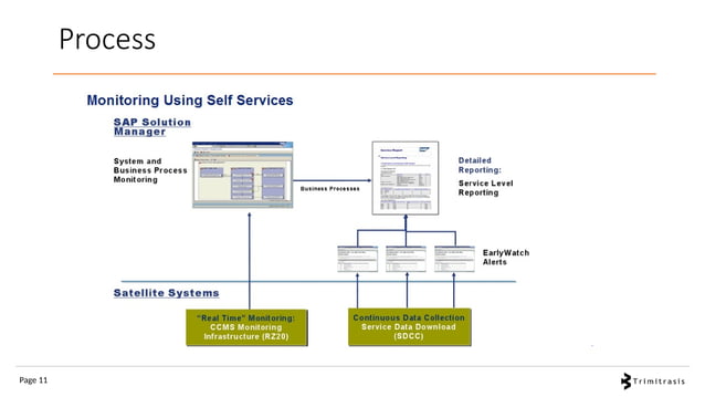 TMS - Petrosea SAP Solution Manager Overview.pptx