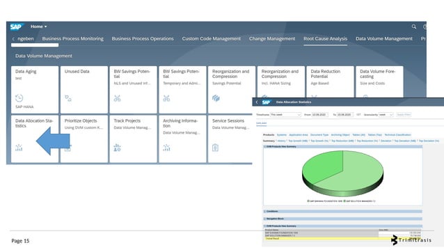 TMS - Petrosea SAP Solution Manager Overview.pptx