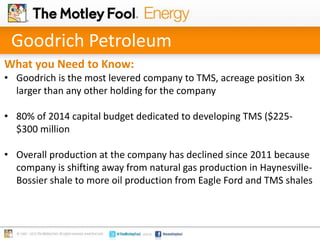 Investing in the Tuscaloosa Marine Shale | PPTX | Commodities | Economy
