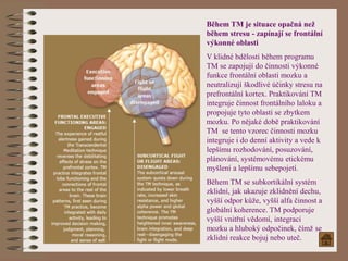 Tm stres management | PPT