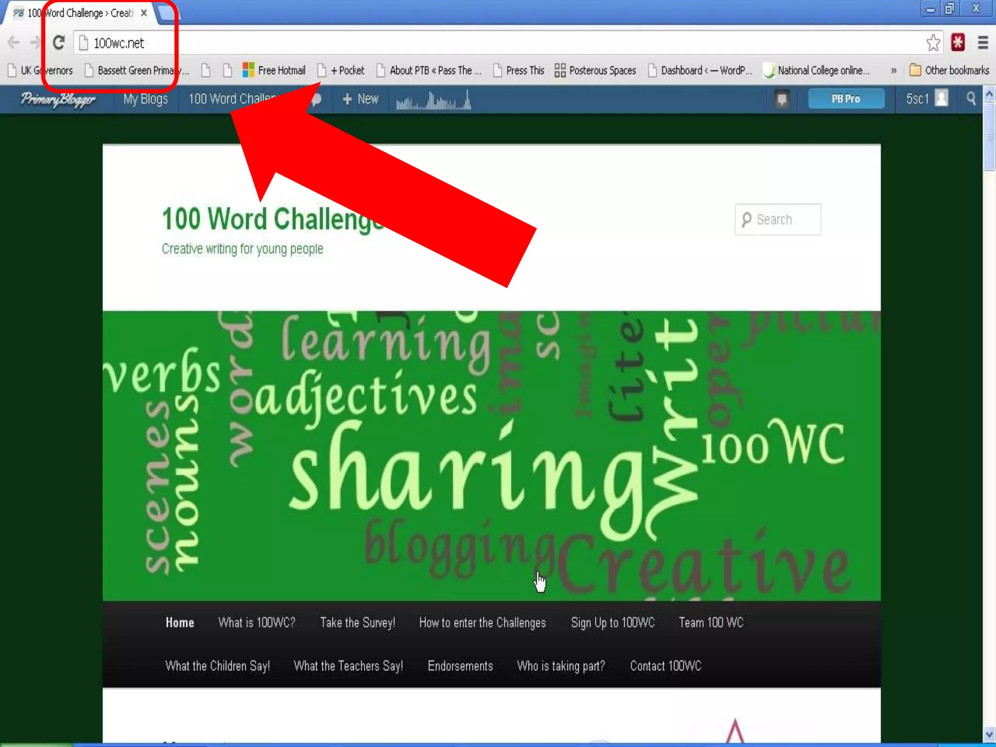 The 100 Word Challenge - Julia Skinner | PPT