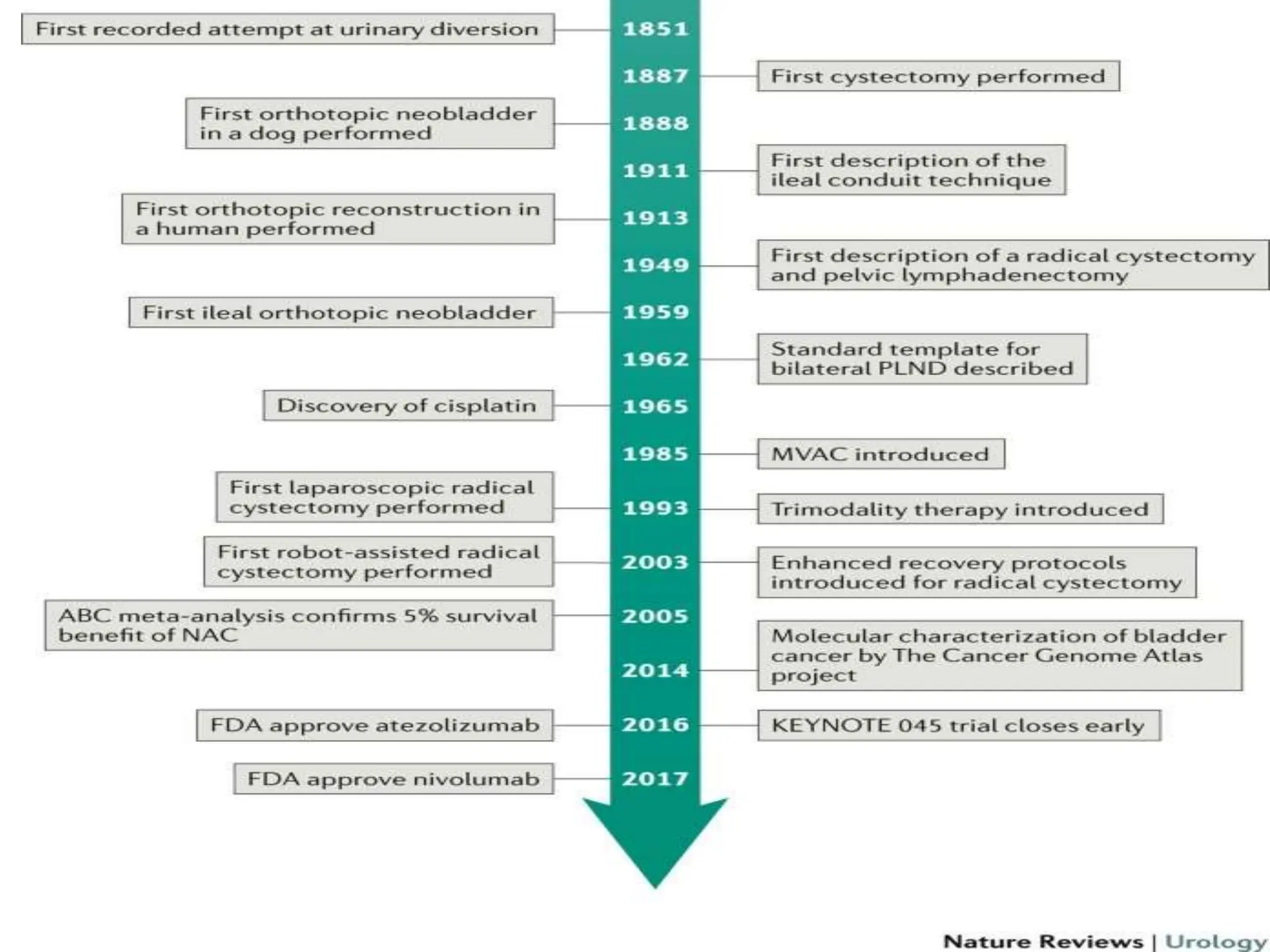 DEBATE IN CA BLADDER TMT VS CYSTECTOMY | PPT