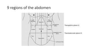 TMTS Abdo Powerpoint | PPTX