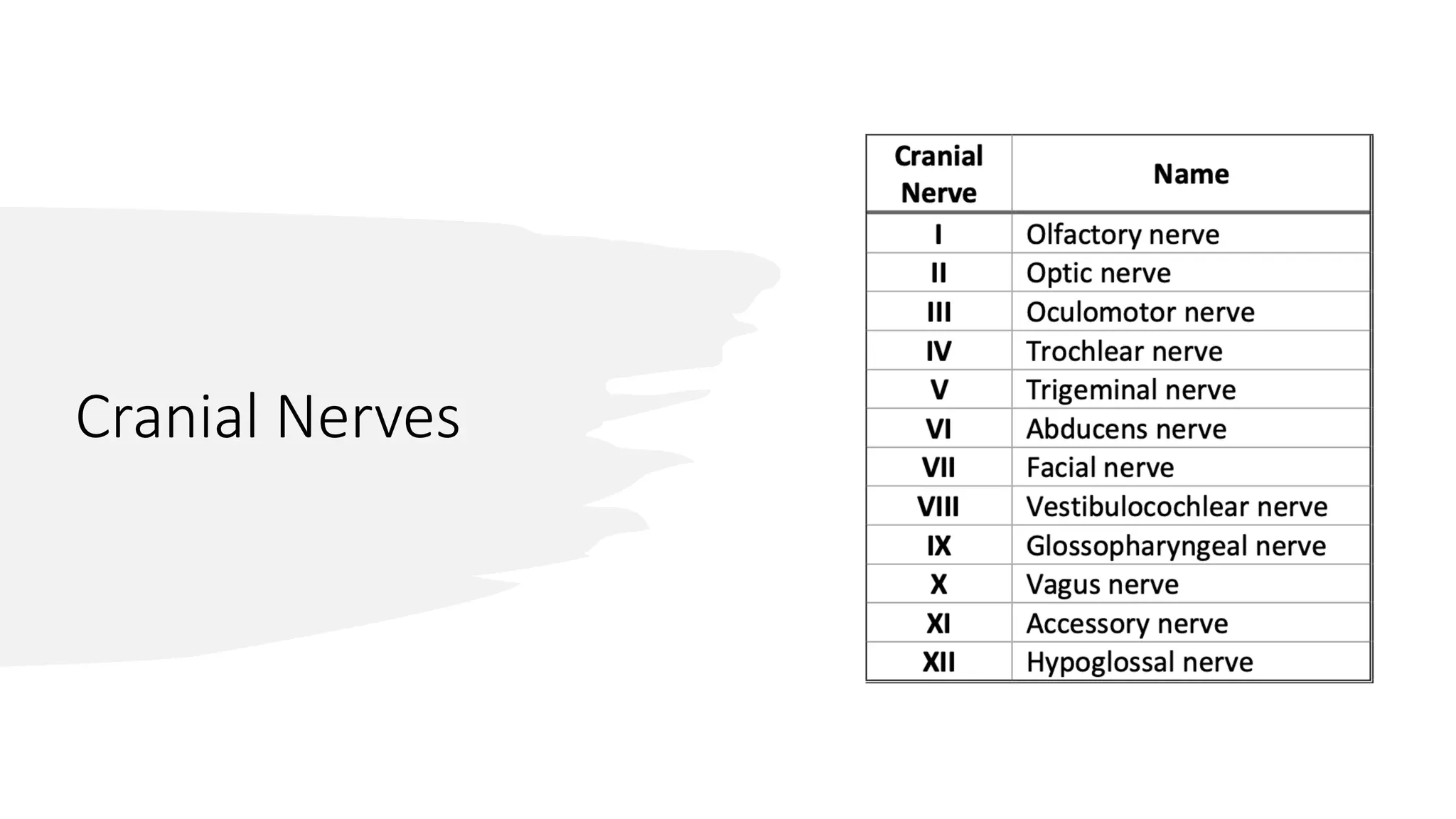 TMTS Cranial Nerves Powerpoint.pptx