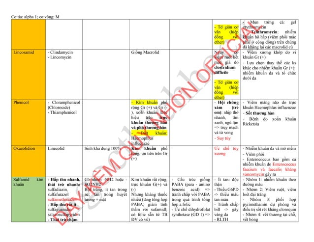 TÓM TẮT DƯỢC LÝ HỌC (NGOC HA THI MINH - SINH VIÊN Y ĐA KHOA - TRƯỜNG ĐẠI HỌC Y DƯỢC - ĐHQGHN).pdf