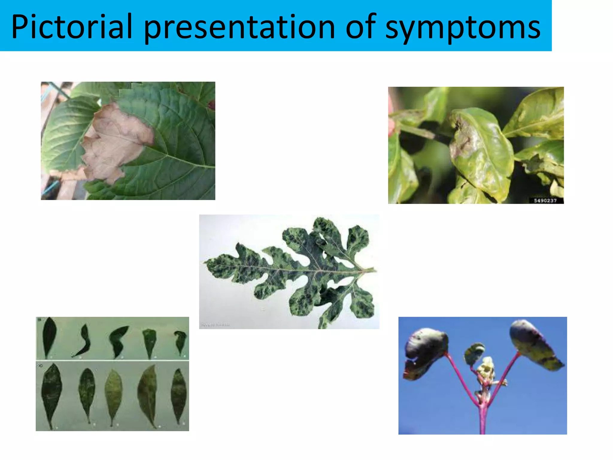 tmv-200131091118.pdf