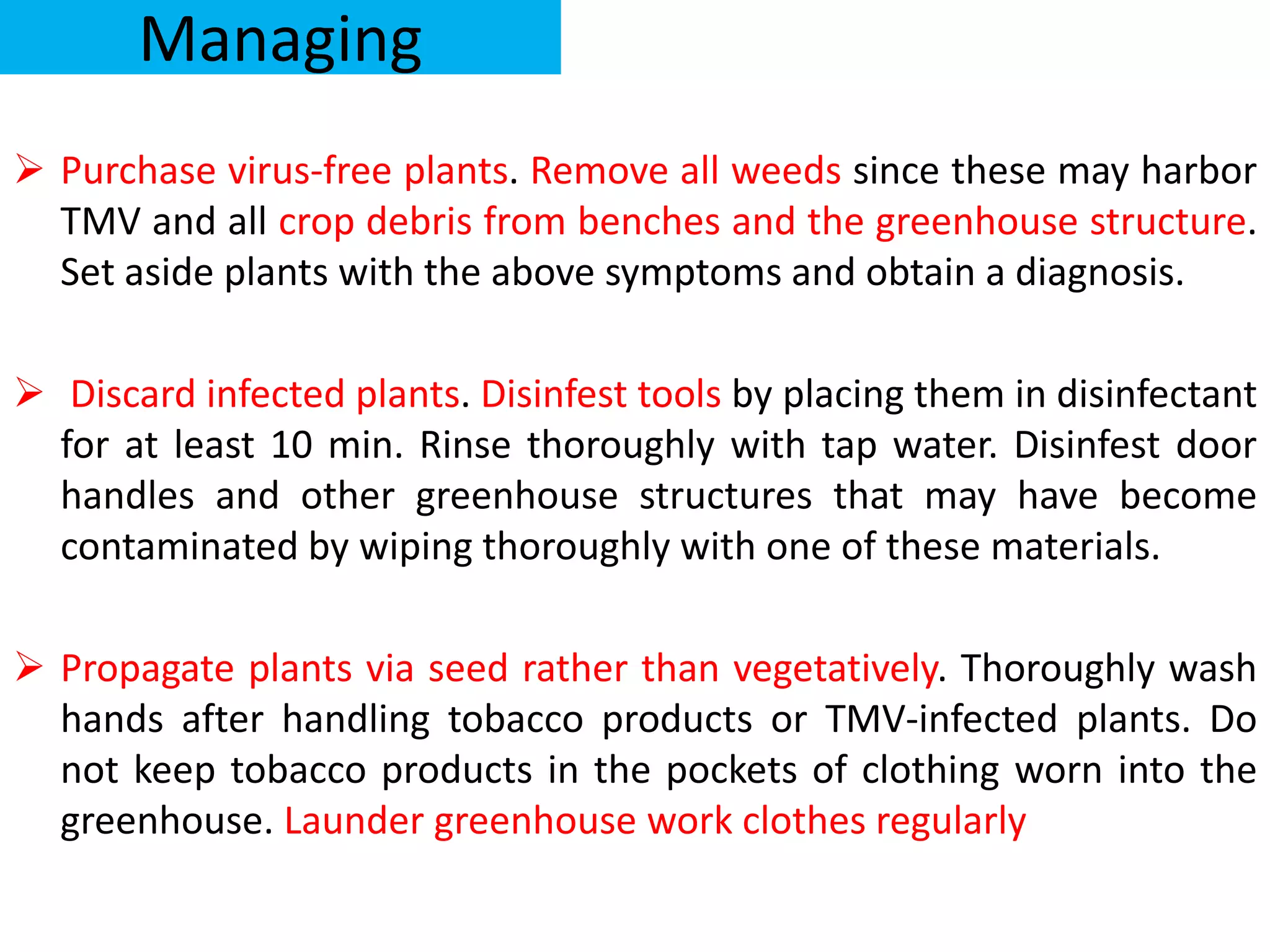 tmv-200131091118.pdf