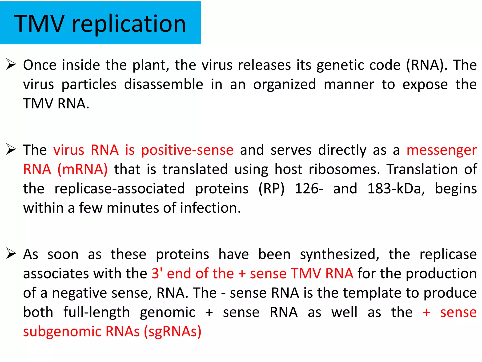 tmv-200131091118.pdf