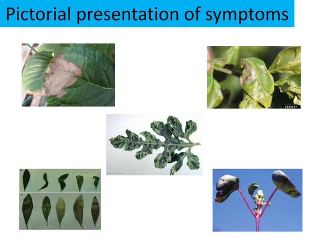 tmv-200131091118.pdf