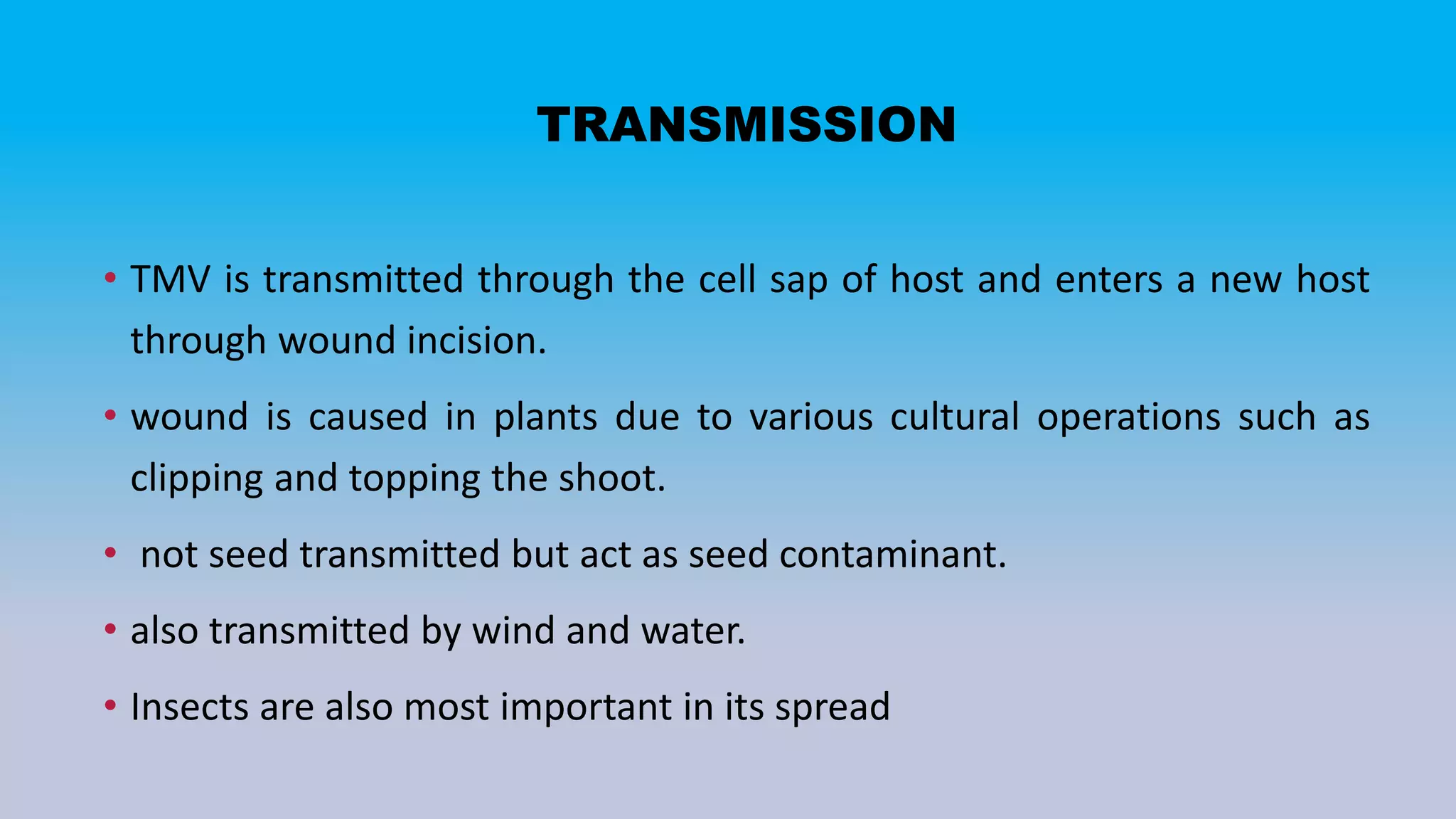 Tobacco mosaic virus by Pranzly.ppt