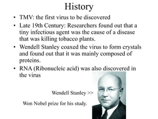 Tobacco Mosaic Virus (TMV) | PPT