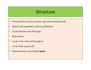 TMV and HIV.pptx pdf | PDF