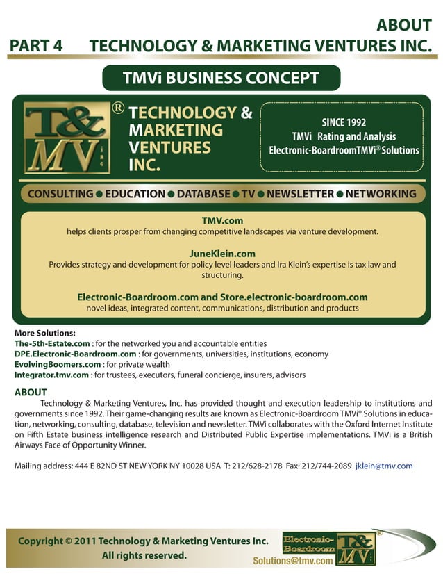 TMVi Business Concept | PDF