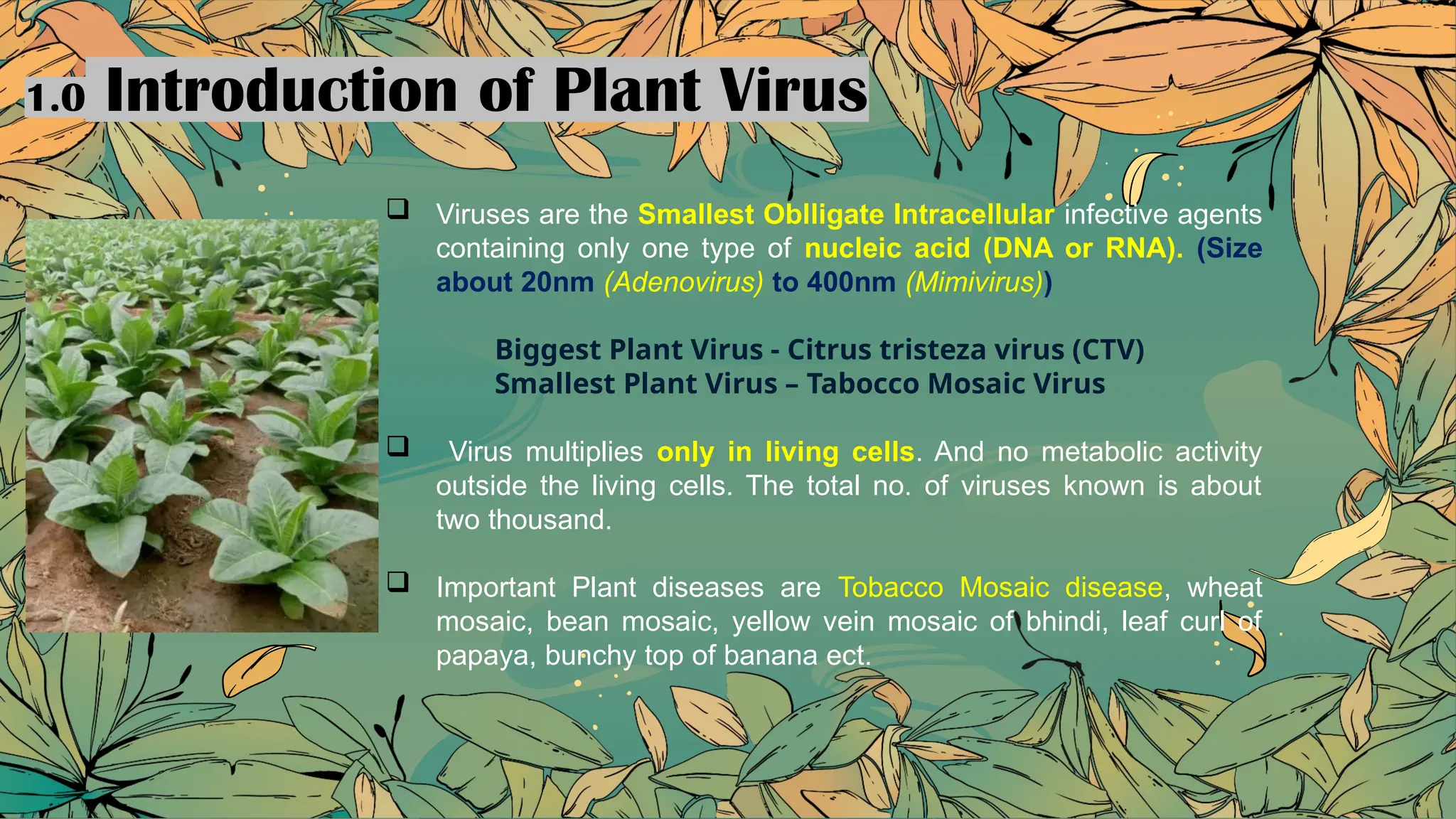 Introduction and characteristics of Tobacco mosaic virus | PPTX