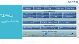 TekMindz dot net_capabilities | PPT