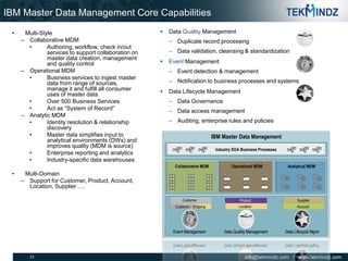 TekMindz Master Data Management Capabilities | PPT