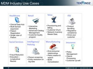 TekMindz Master Data Management Capabilities | PPT