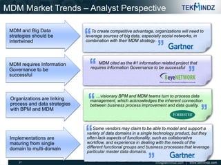 TekMindz Master Data Management Capabilities | PDF