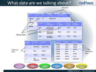 TekMindz Master Data Management Capabilities | PPT