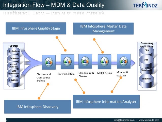 TekMindz Master Data Management Capabilities
