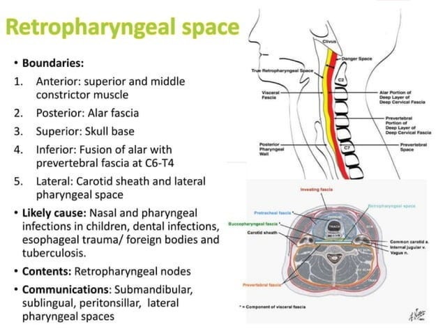 facial spaces in maxillofacial region.pptx