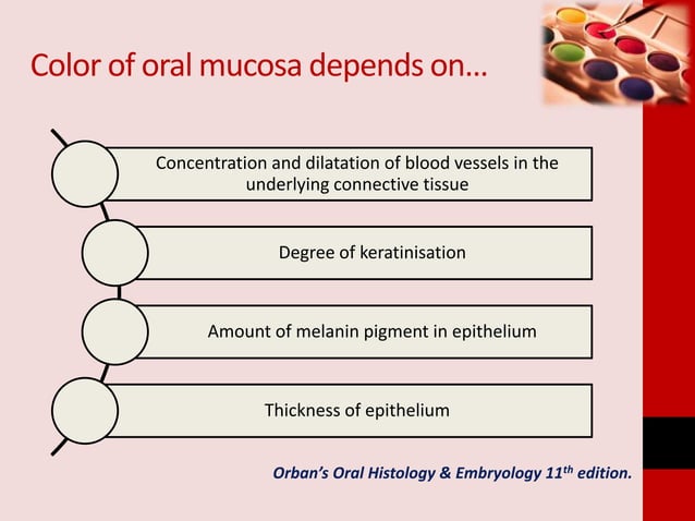 Red And White Lesions Of Oral Cavity Pptx 6689