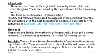 8th Standard, Geography: Rocks and soils 8th and soil | PPTX